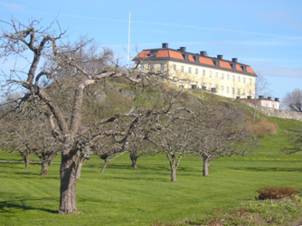 Schlange im Gras: Der schwedische Agitator Olof Eneroth – Joachim Schnitter